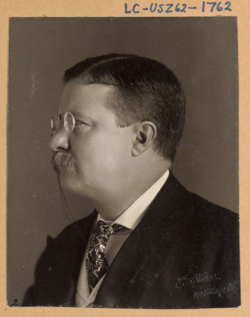 A Speculation About Theodore Roosevelt – EMCC History